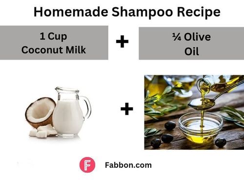 11 Best DIY Homemade Shampoos For All Hair Problems | Fabbon